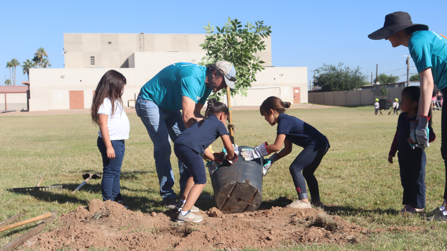 Arizona Public Service