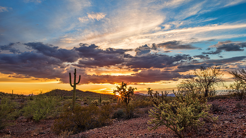 Desert Sun Power Plant Project