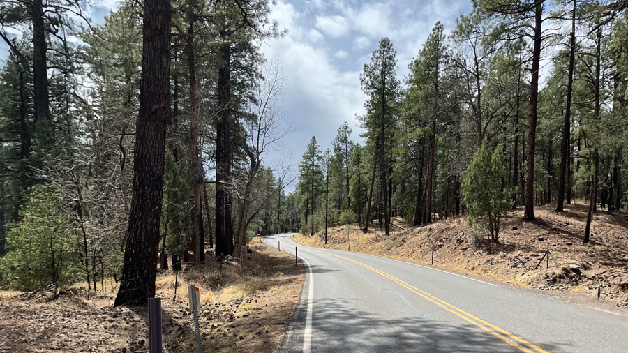 Walker Road Upgrade | APS