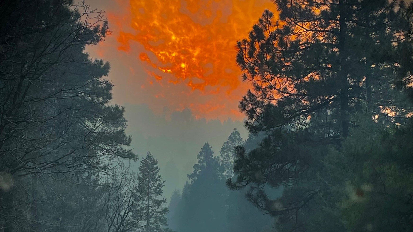 May is National Wildfire Awareness Month