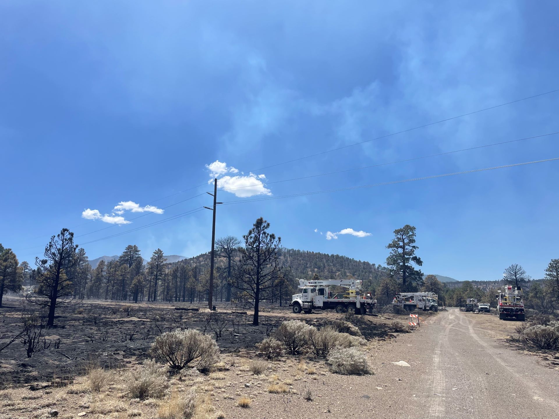 aps – Arizona Public Service Electric